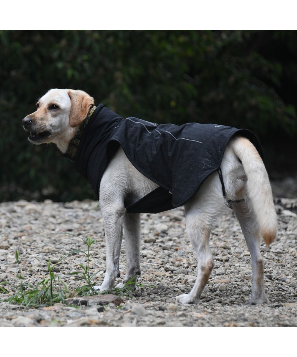 【セール】ハイカー サーマル ジャケット【XL】(504990420) | ジウオーク(GEWALK) - MAGASEEK